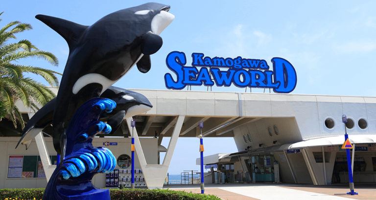 Kamogawa Sea World